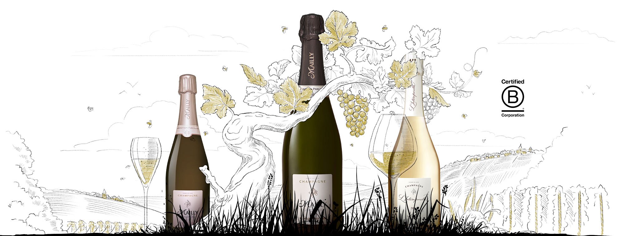 Champagne Mailly Grand Cru